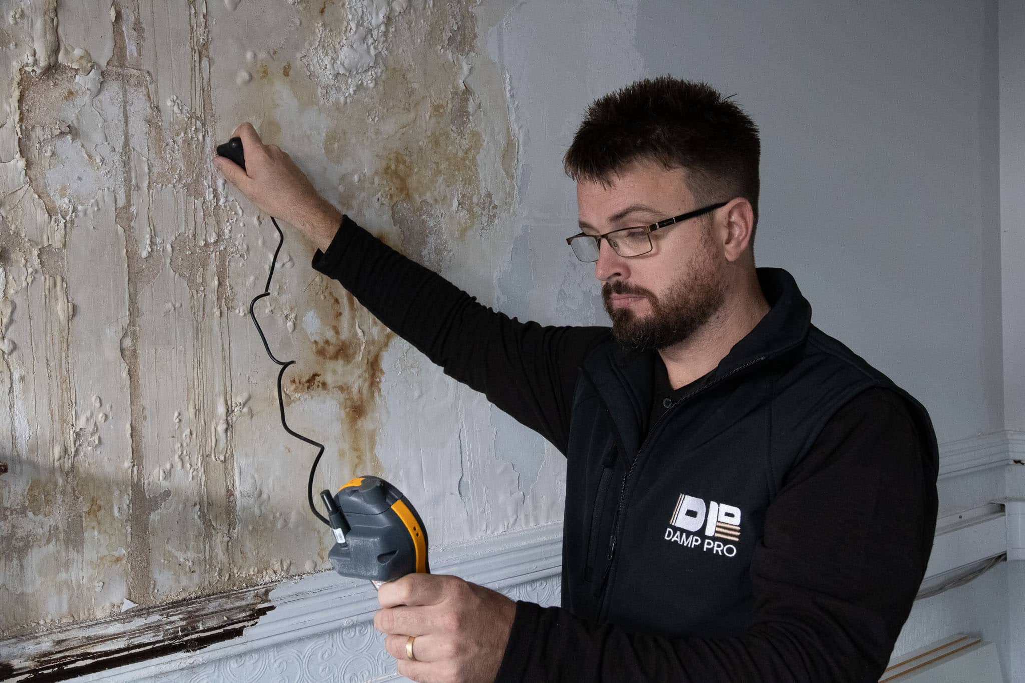 Wet Rot vs Dry Rot - Understanding the Key Differences - Damp Pro